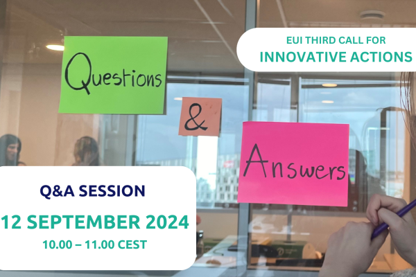 Sixth Q&A session- Third Call for Innovative Actions | EUI